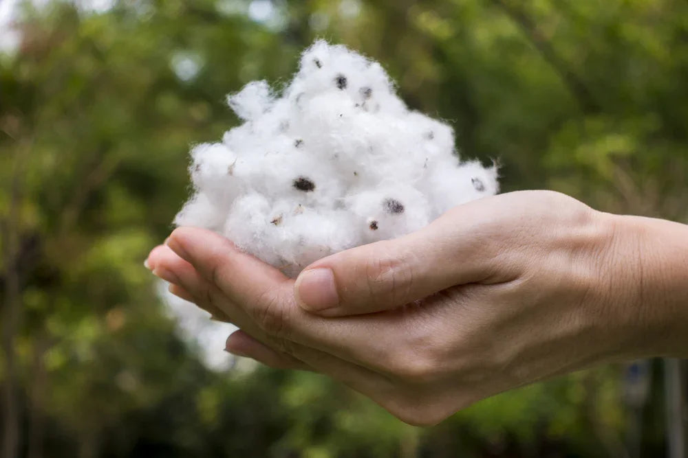 Why Organic Cotton?
